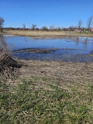 Best Hikes and Trails in Peck Farm Park | AllTrails