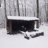 Mount Tremper Trail, New York - 1,544 Reviews, Map | AllTrails