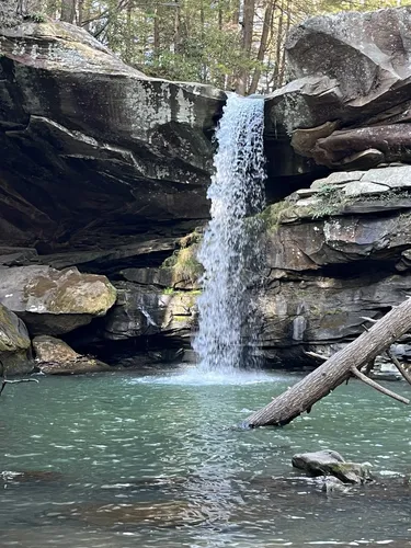 Best Hikes and Trails in Gray Hawk | AllTrails