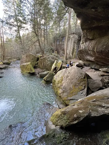 Best Hikes and Trails in Gray Hawk | AllTrails
