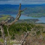 Tom McCall Point Trail, Oregon - 1,525 Reviews, Map | AllTrails