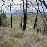 Tom McCall Point Trail, Oregon - 1,525 Reviews, Map | AllTrails