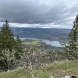 Tom McCall Point Trail, Oregon - 1,525 Reviews, Map | AllTrails