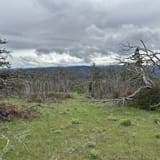 Tom McCall Point Trail, Oregon - 1,525 Reviews, Map | AllTrails