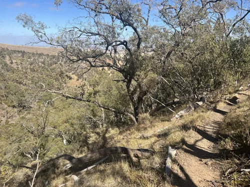Best Walking Trails in Spring Gully Conservation Park | AllTrails