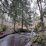 Angels Rest to Devil's Rest Loop Trail, Oregon - 1,242 Reviews, Map ...