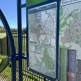 Lake Crabtree Loop Trail, North Carolina - 534 Reviews, Map | AllTrails