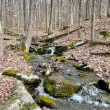 Tracy Ridge Hiking Trail System , Pennsylvania - 310 Reviews, Map ...