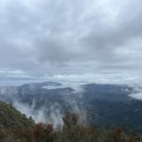 Verna Dunshee Loop, California - 266 Reviews, Map | AllTrails