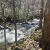 Mouse Creek Falls via Big Creek Trail, Tennessee - 2,673 Reviews, Map ...