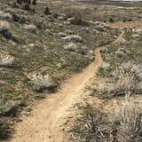 Keystone Canyon Trail, Nevada - 1,210 Reviews, Map | AllTrails