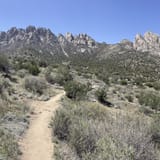 Pine Tree Trail, New Mexico - 2,199 Reviews, Map | AllTrails