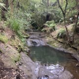 Puhinui Stream Forest Trail, Auckland, New Zealand - 551 Reviews, Map ...