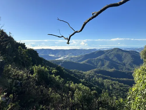 Best Hikes and Trails in Mount Royal National Park | AllTrails