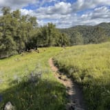 Pa'san Ridge Trail, California - 1,009 Reviews, Map | AllTrails