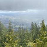 Mount Walker, Washington - 2,016 Reviews, Map | AllTrails