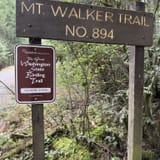 Mount Walker, Washington - 2,016 Reviews, Map | AllTrails