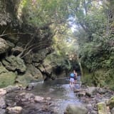 Patuna Chasm Walk, Wellington, New Zealand - 33 Reviews, Map | AllTrails