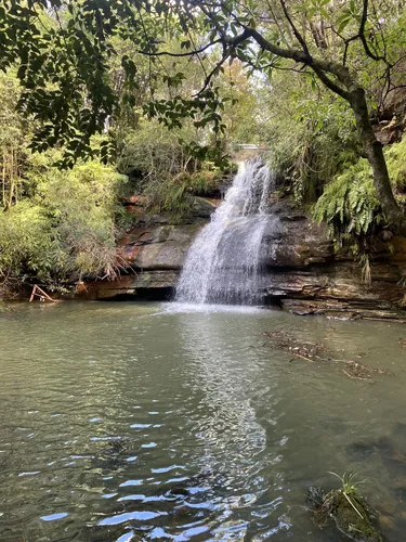Best Hikes and Trails in Wahroonga Reserve | AllTrails