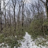 Bear Mountain Trail, Connecticut - 3,136 Reviews, Map | AllTrails