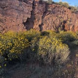 Coon Bluff Trail, Arizona - 775 Reviews, Map | AllTrails