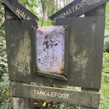 Tanglefoot Short Loop, Victoria, Australia - 334 Reviews, Map | AllTrails