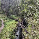 The Canyon (Lorne Waterfalls Circuit), Victoria, Australia - 627 ...