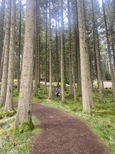 Best Partially Paved Trails in Kielder Forest | AllTrails