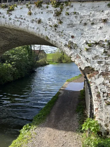 Best Forest Trails in Colne Valley Park | AllTrails