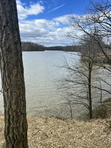 Best Wildflowers Trails in Blue Marsh Lake National Recreation Area ...