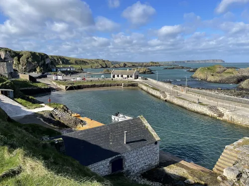 Best Wild Flowers Trails in Causeway Coast Strangford and Lecale ...
