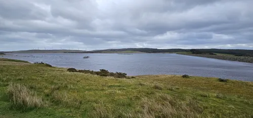 Best Hikes and Trails in Hafod Elwy National Nature Reserve | AllTrails