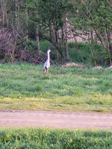 Best Hikes and Trails in Colmar | AllTrails