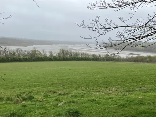 Best Trails, Walks, and Paths in Kilgetty | AllTrails