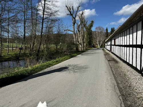 Best Camping Trails in Grenaa | AllTrails