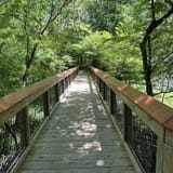 Pine Ridge Trail, Florida - 174 Reviews, Map | AllTrails