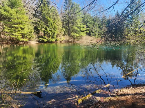 Best Hikes and Trails in Clear Springs Nature Preserve | AllTrails