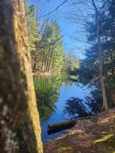 Best Hikes and Trails in Clear Springs Nature Preserve | AllTrails