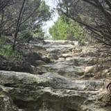 Lake Austin/360 Bridge Overlook, Texas - 534 Reviews, Map | AllTrails