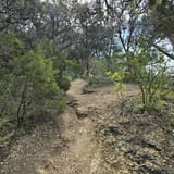 Lake Austin/360 Bridge Overlook, Texas - 534 Reviews, Map | AllTrails