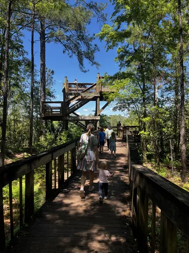 Tillie K Fowler Regional Park De Beste Routes Om Te Wandelen Alltrails