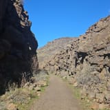 Cowiche Canyon Trail, Washington - 598 Reviews, Map | AllTrails