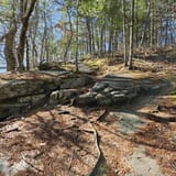 Mount Misery Trail, Connecticut - 899 Reviews, Map | AllTrails