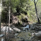 Millard Canyon Falls Trail, California - 4,472 Reviews, Map | AllTrails