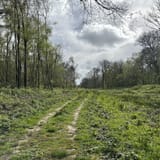 Wye and the North Downs Circular Walk, Kent, England - 641 Reviews, Map ...