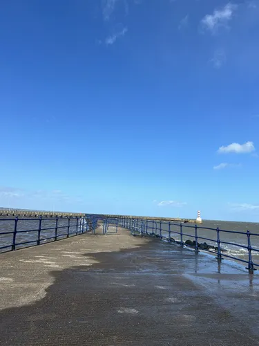 Best Walking Trails in Amble | AllTrails