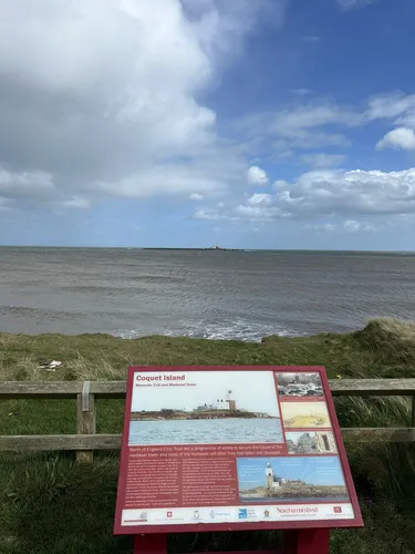 Best Walking Trails in Amble | AllTrails