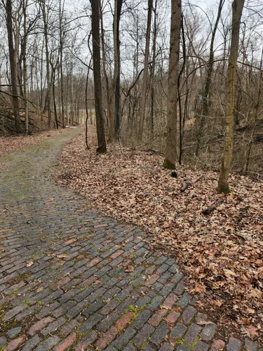 Best Hikes and Trails in Armco Park | AllTrails