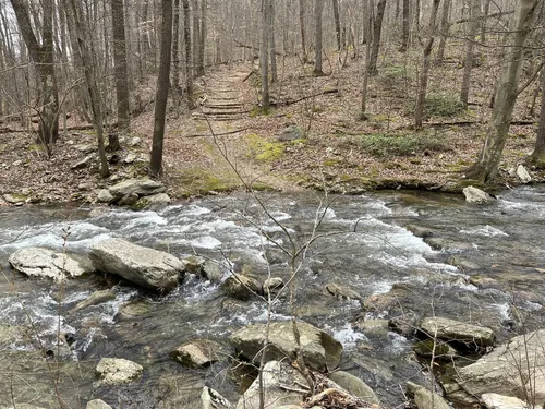 Best River Trails in Cunningham Falls State Park | AllTrails