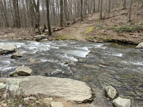 Best River Trails in Cunningham Falls State Park | AllTrails